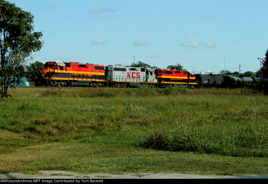 Local with a pair of little Belles